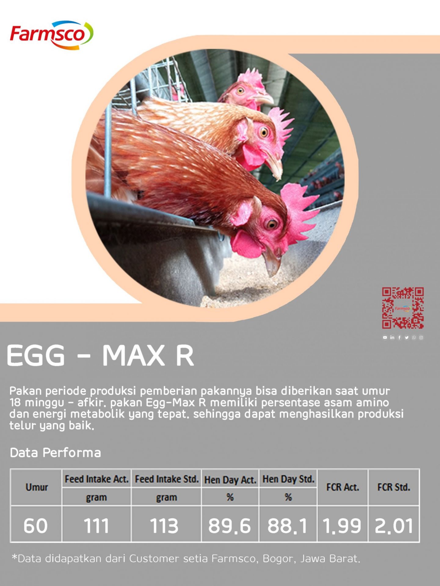 Pakan Egg Max R Optimal